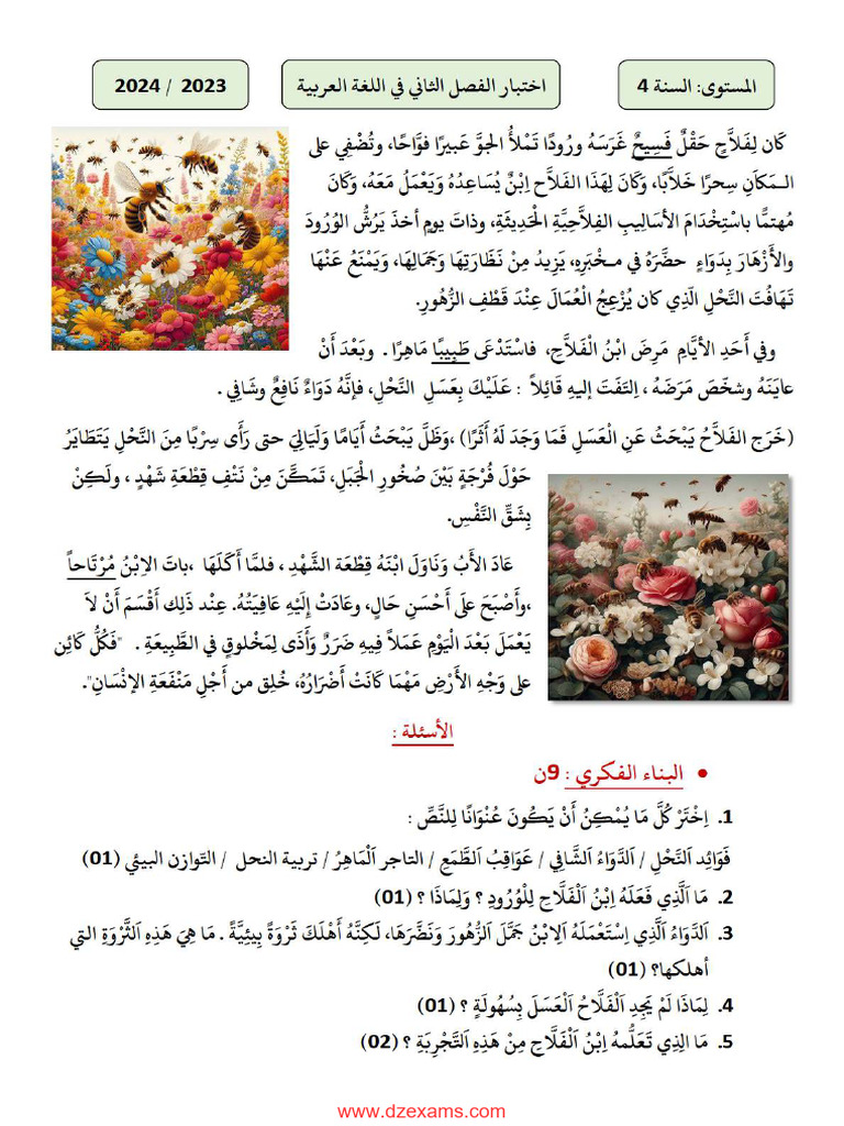 Dzexams 4ap Arabe 575082 | PDF