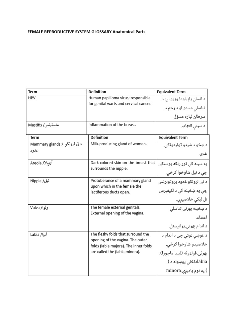 FEMALE REPRODUCTIVE SYSTEM GLOSSARY | PDF