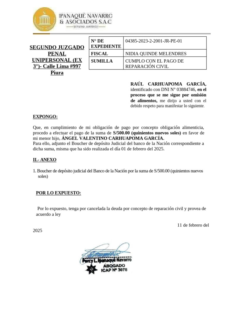 Pago de Alimentos Raul | PDF