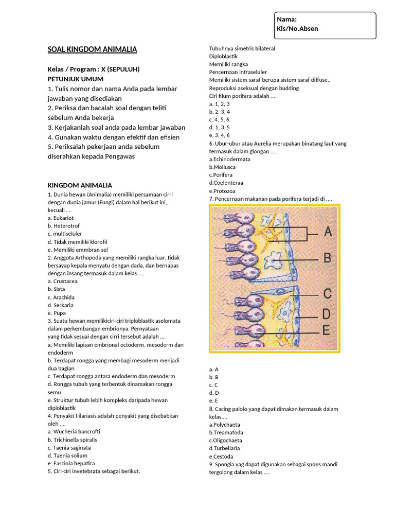 SOAL KINGDOM ANIMALIA | PDF