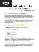 Spin Assessment | PDF | Social Anxiety Disorder | Behavioural Sciences