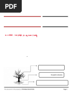 Bells Test | PDF | Neuropsychology | Cognition