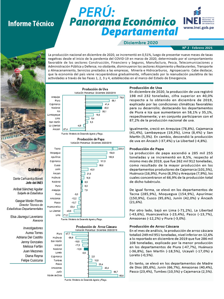 Informe Económico Departamental 2020 | PDF
