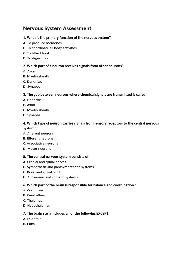 Nervous System Quiz - Extra Credit | PDF | Central Nervous System ...