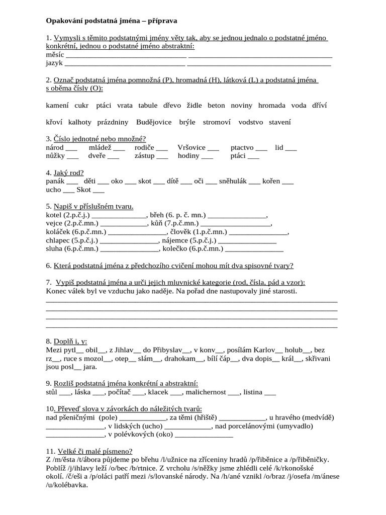 Opakování Podstatná Jména | PDF