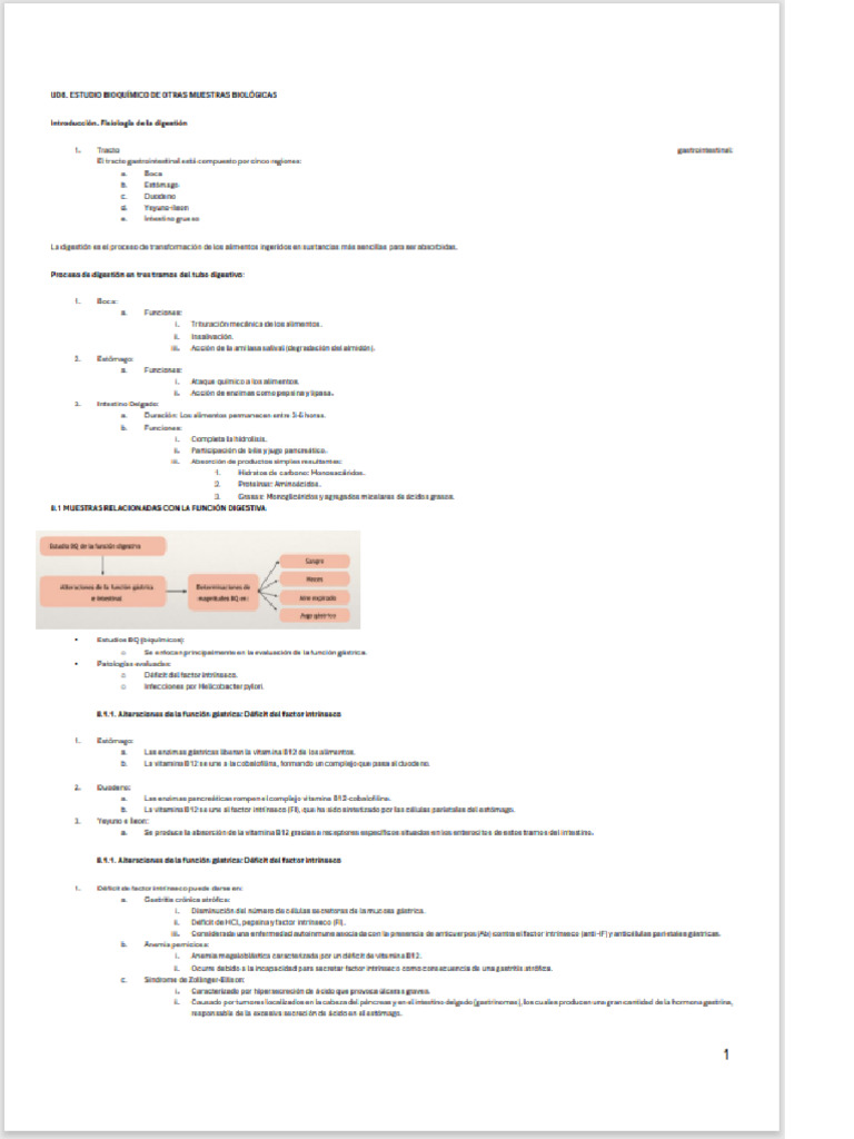 Ud8. Estudio Bioquímico de Otras Muestras Biológicas | PDF