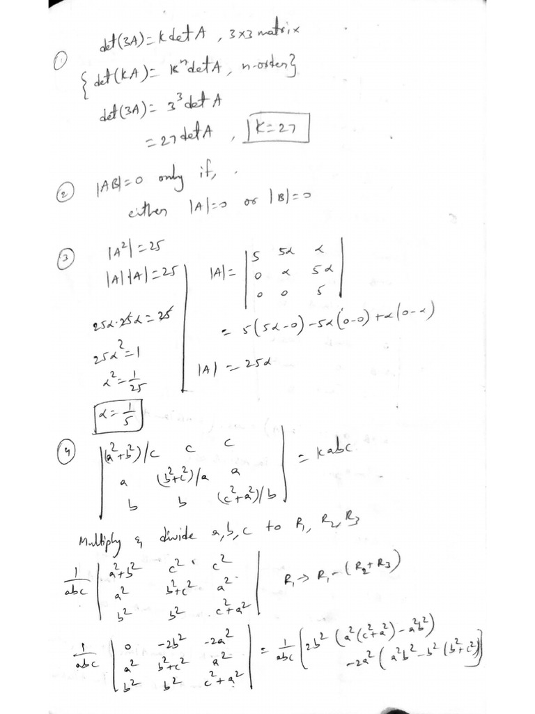 Determinants Exercise 2 Solutions | PDF