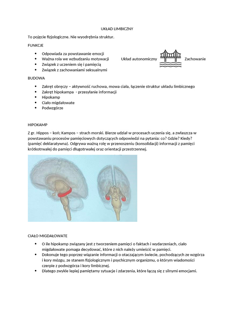 Biologiczne Podstawy 2 | PDF