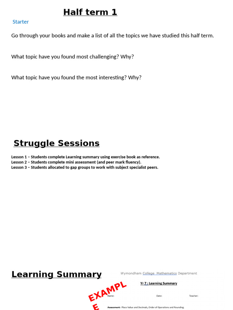 What Is A Mini Assessment | PDF