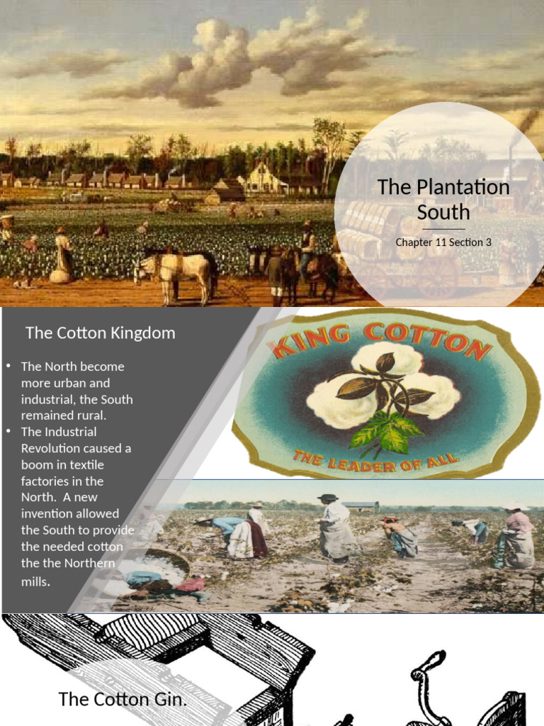 The Cotton Kingdom and Slavery's Impact | PDF | Cotton | Slavery