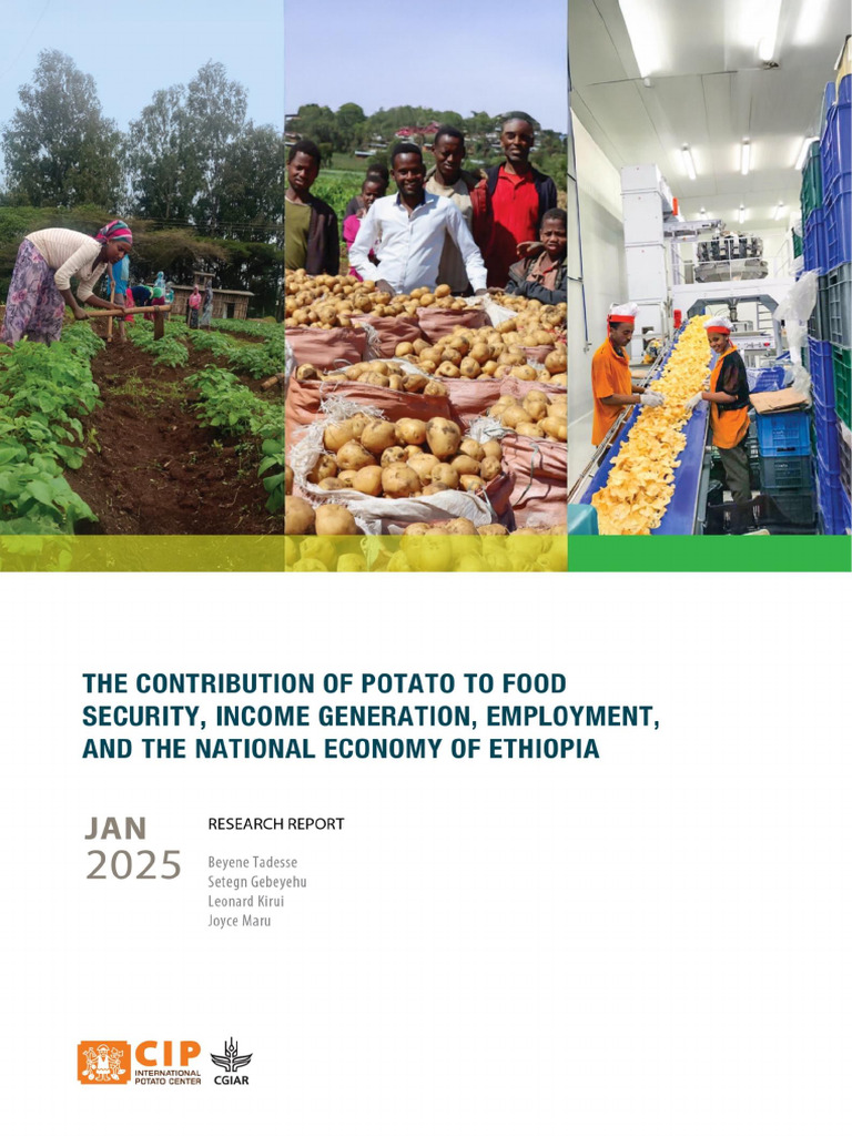 Potato's Role in Ethiopia's Economy | PDF | Agriculture | Potato