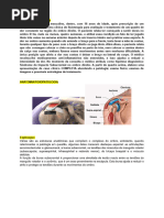 Testes Avaliativos de Mmss (Teste de Patte, Gerber) | PDF | Dor ...