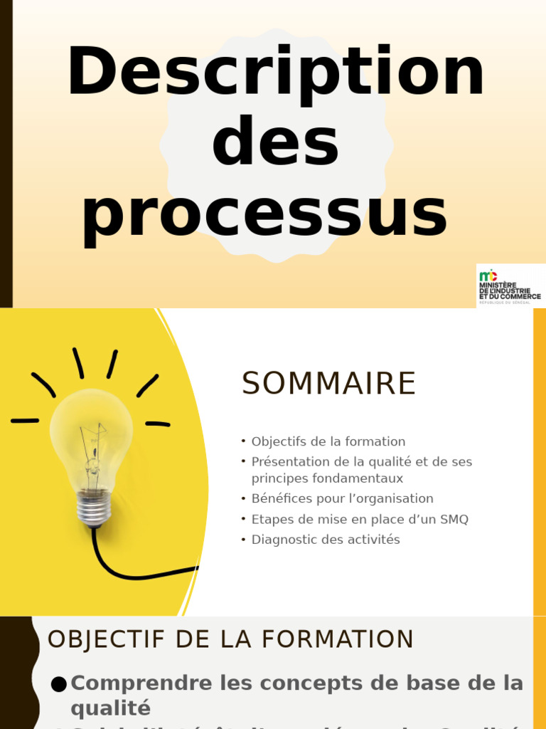 Formation Cartographie Micro Processus | PDF | Système de management de ...