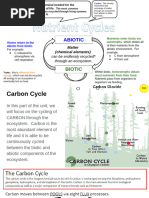 Understanding the Carbon Cycle | PDF | Carbon Cycle | Oceans