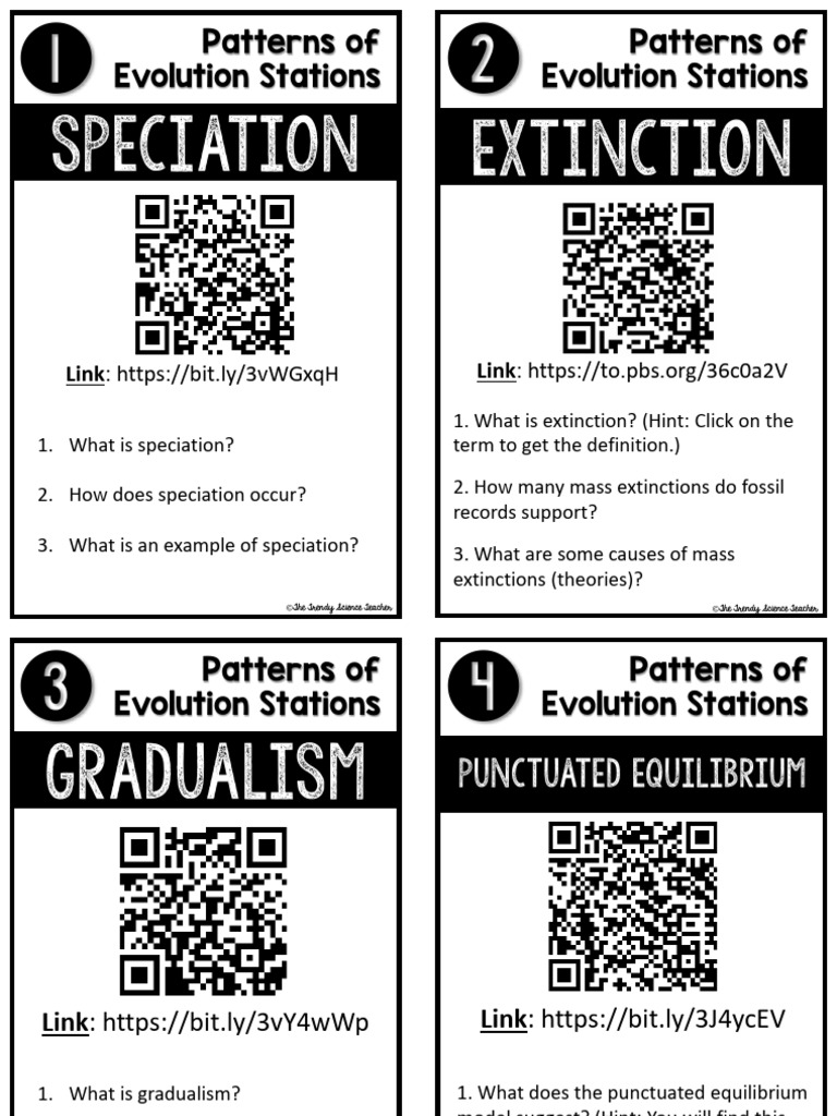 Patterns of Evolution Inquiry Stations Short | PDF | Evolution | Extinction