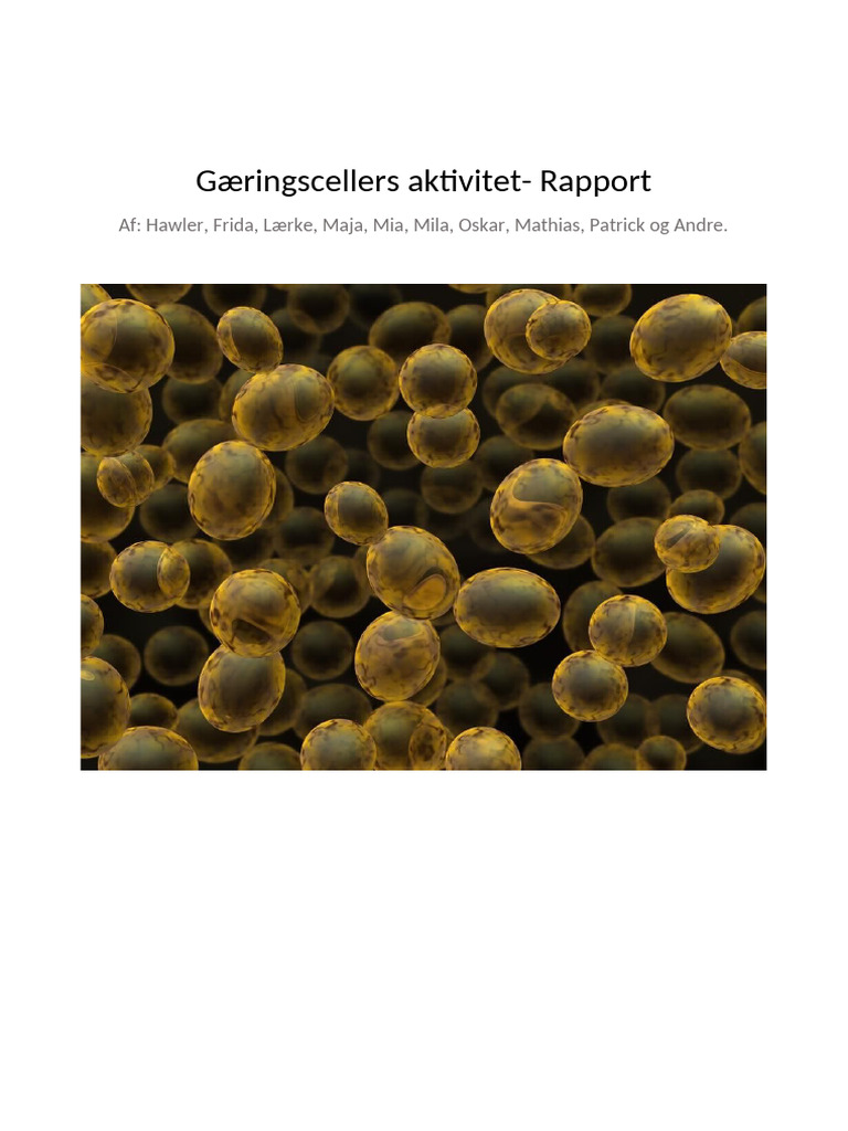 1 Forsøg - Raport Om Gær - Rettet | PDF