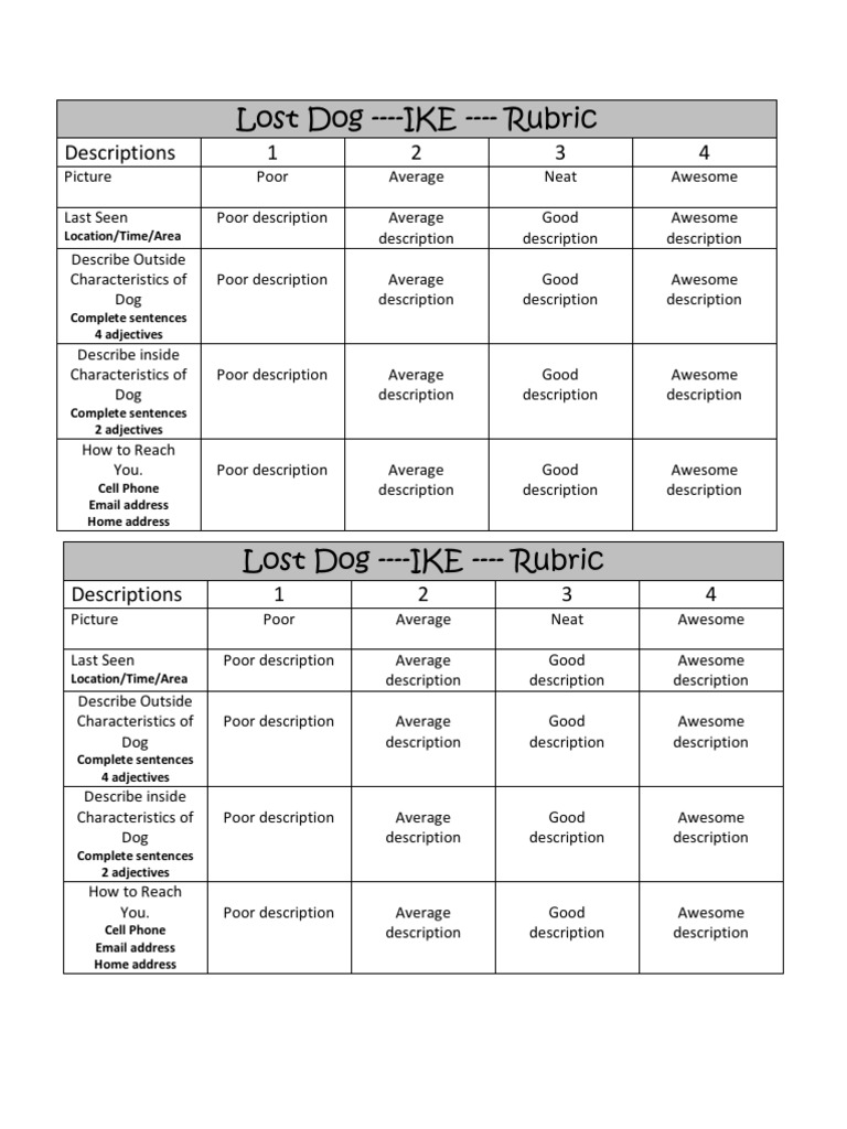 Lost Dog Flyer Rubric | PDF
