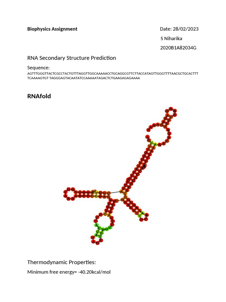 Biophysics Assignment | PDF | Alpha Helix | Macromolecules