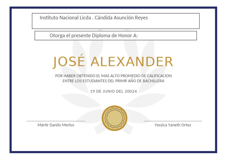Diploma de Honor al Mejor Promedio 20024 | PDF