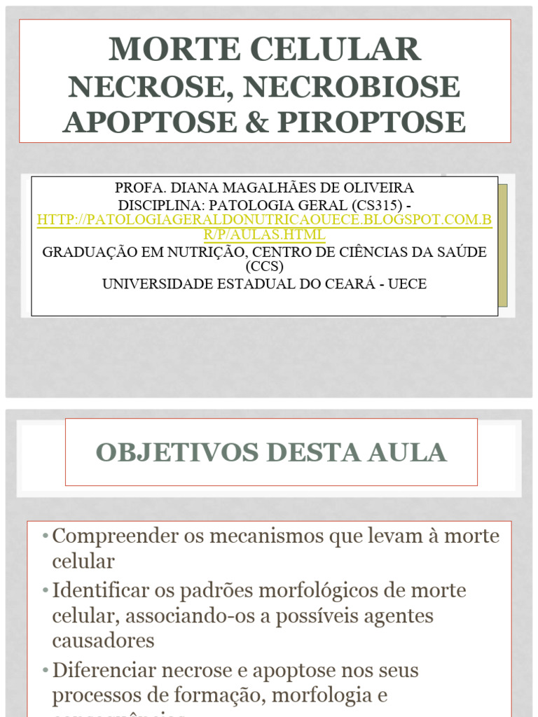 Tipos de Morte Celular: Apoptose e Necrose | PDF | Necrose | Apoptose