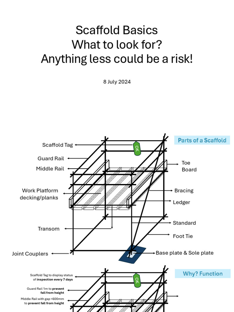 Scaffold Basics What To Look For 1730835604 | PDF
