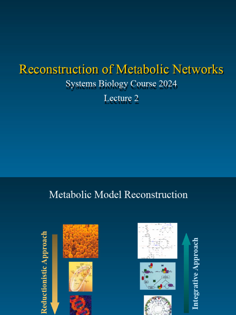 Lecture 2 - Metabolic Network Reconstruction | PDF | Metabolism ...