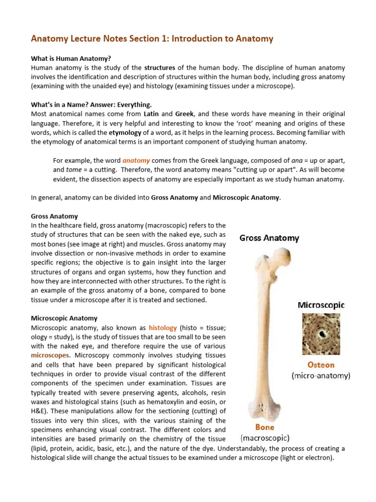 #1 Intro to Anatomy Lect Notes | PDF | Histology | Human Body