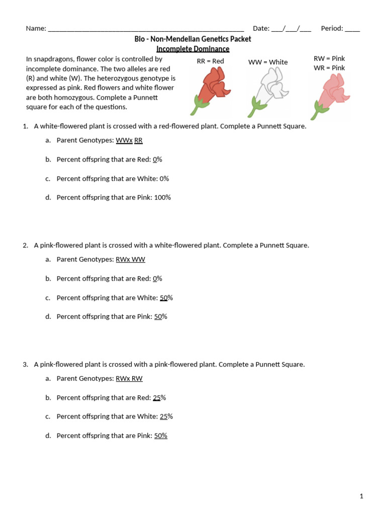 Non-Mendelian Genetics Packet | PDF | Genotype | Dominance (Genetics)