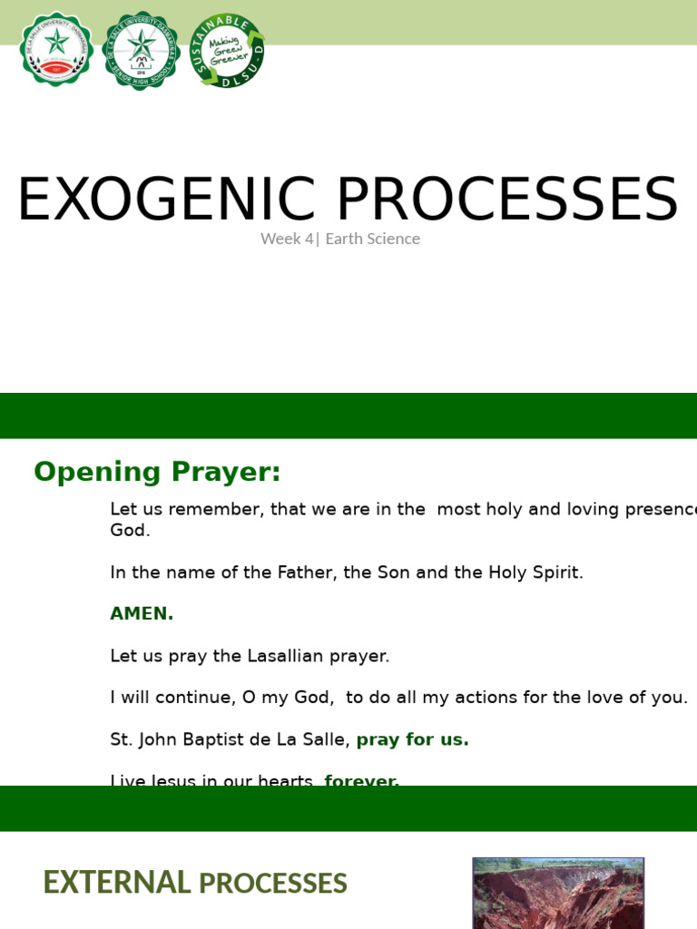 Exogenic Processes | PDF | Weathering | Erosion