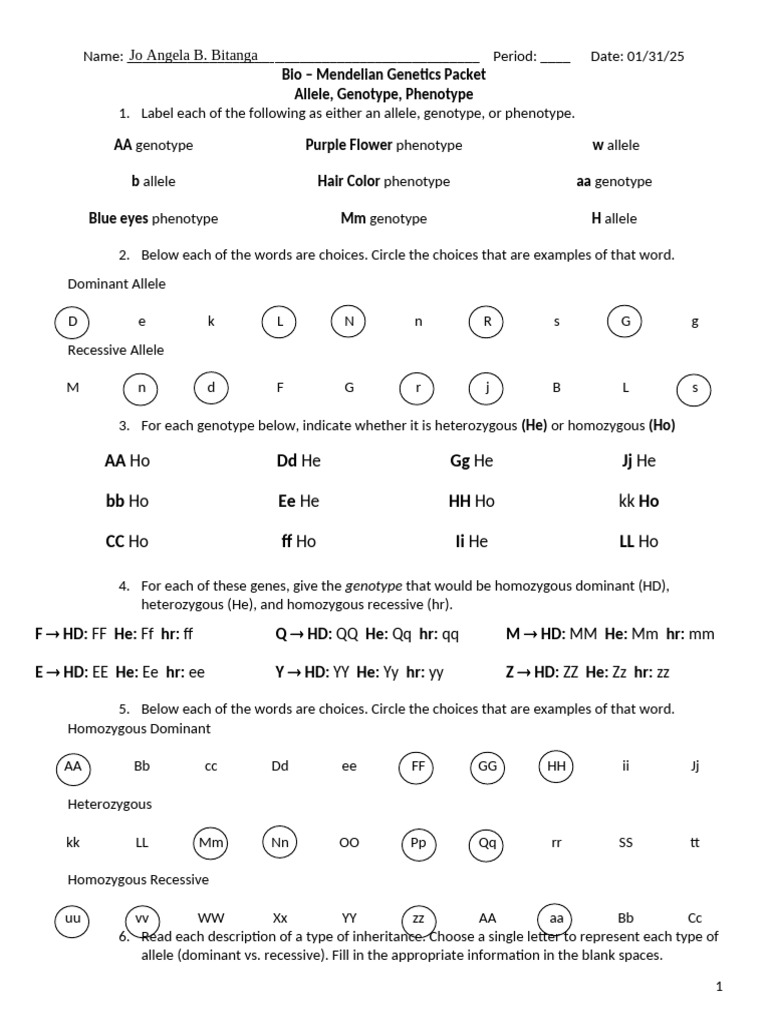Bitanga Bio - Mendelian Genetics Packet - Student | PDF | Dominance ...