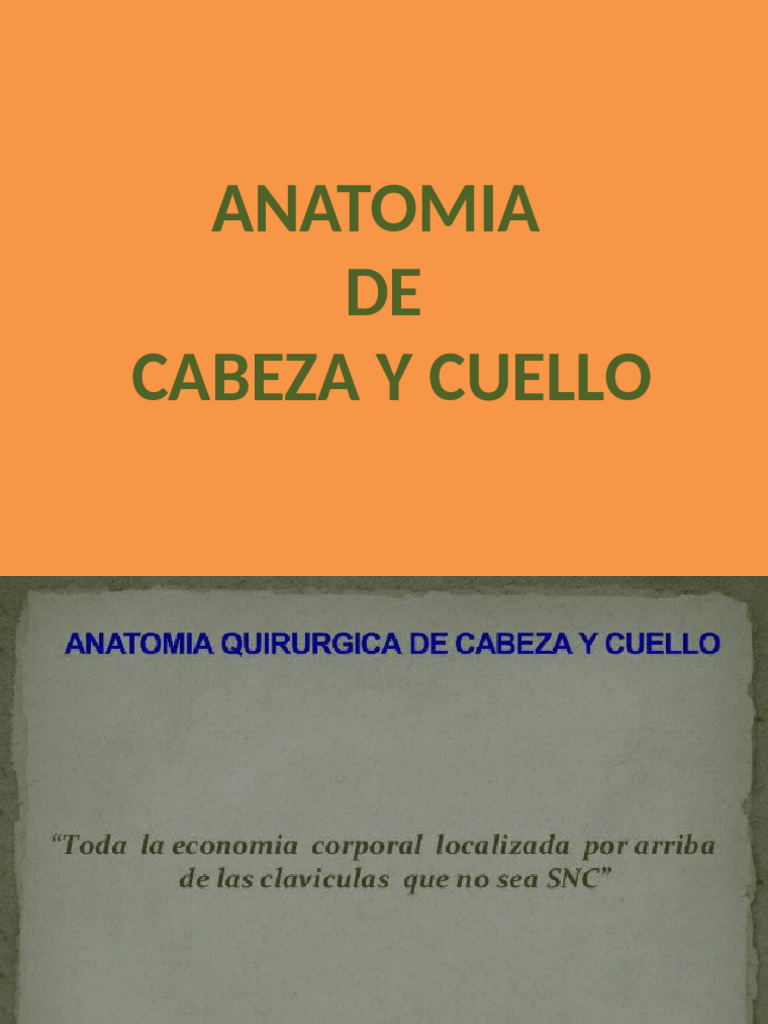 Anatom Ia de Cabeza y Cuello | PDF