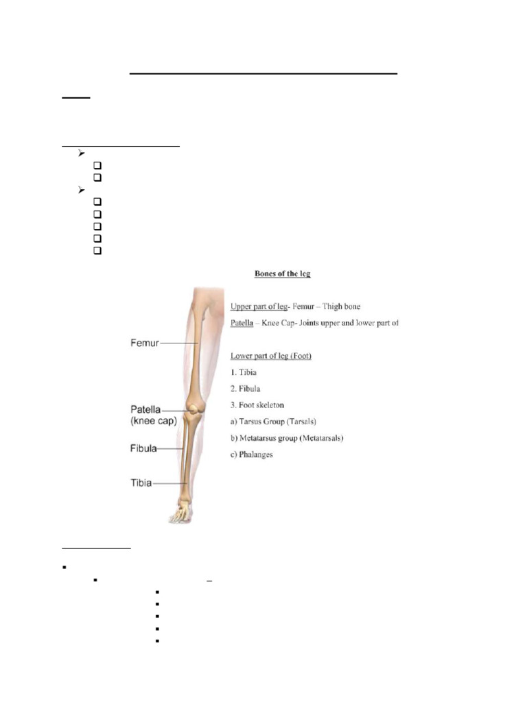 Designing Theory - PGDFT | PDF | Foot | Anatomical Terms Of Motion