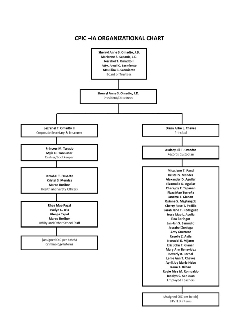 ORGANIZATIONAL-CHART-CPIC-IA | PDF