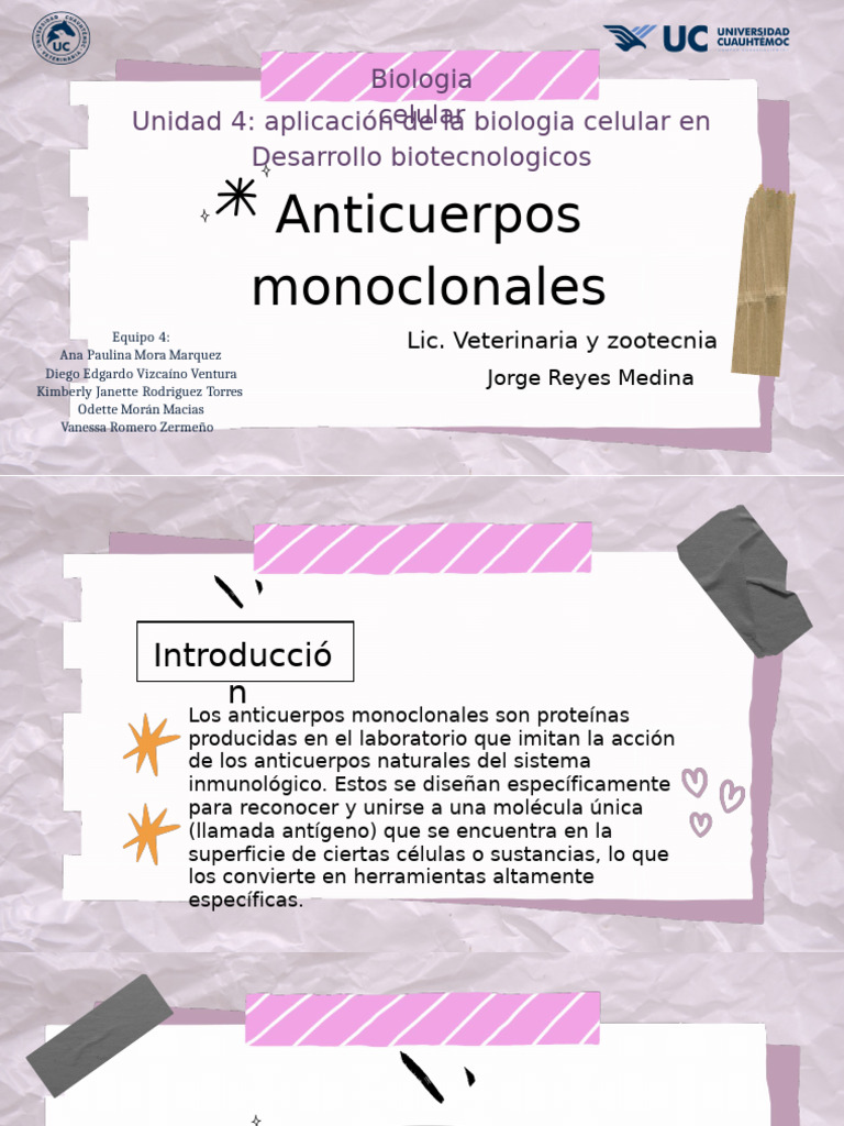 anticuerpos monoclonales | PDF | Sistema inmune | Anticuerpo