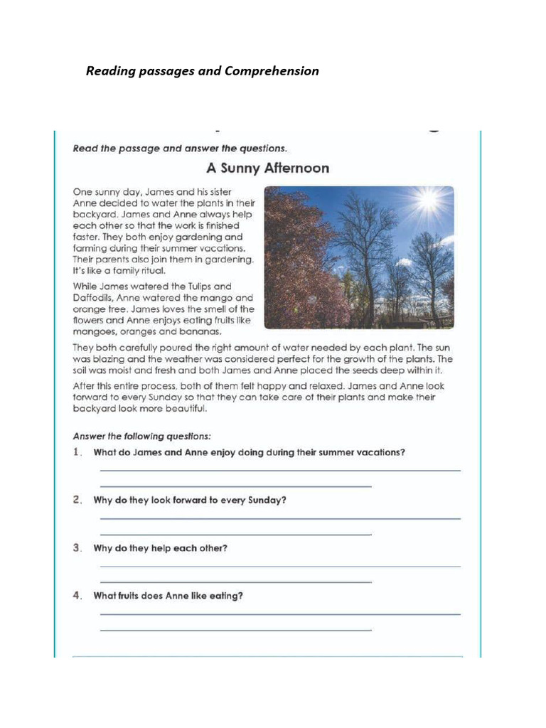 Reading and Writing Skills Guide | PDF