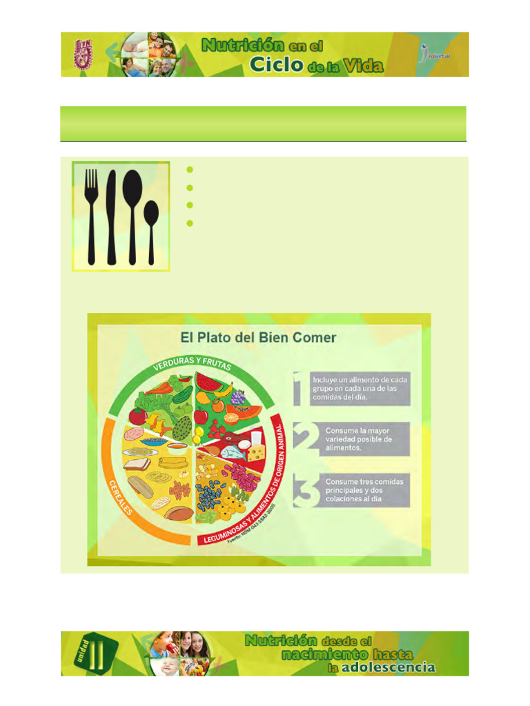 Nutrición para niños de 6 a 12 años | PDF | Alimentos | Dieta (Nutrición)