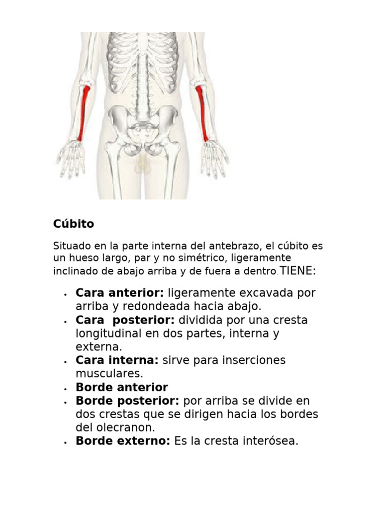 Radio y Cubito | PDF
