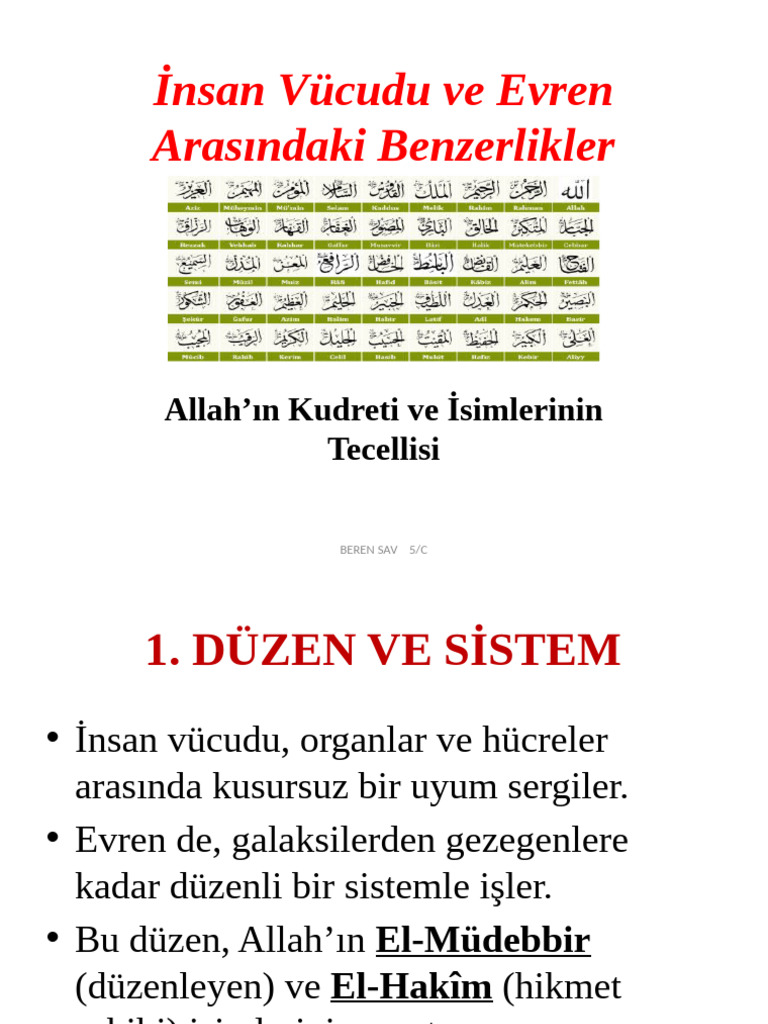 Insan Vucudu Ve Evren Arasindaki Benzerlikler | PDF