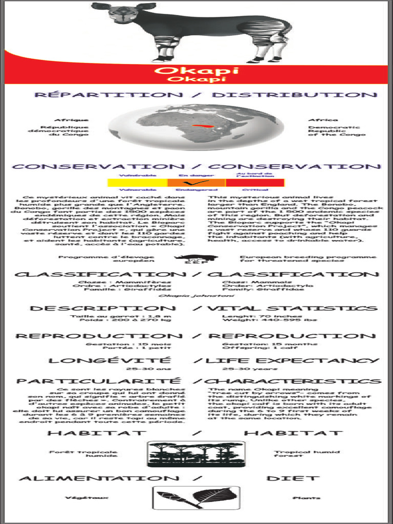 Okapi | PDF