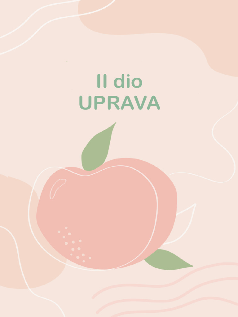 Uprava II Dio | PDF