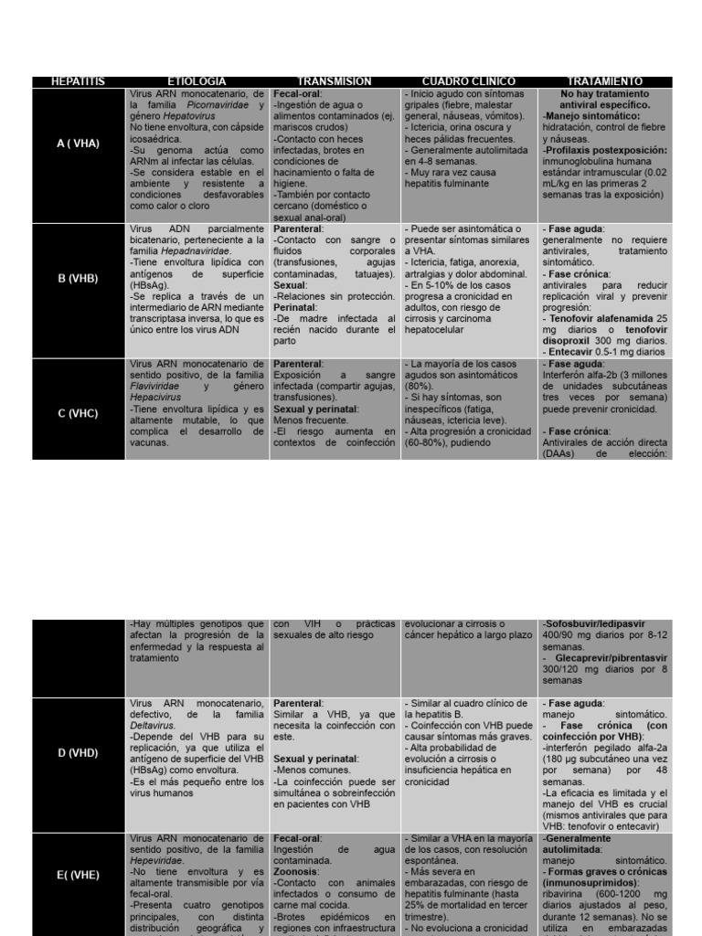 Guía Completa sobre Hepatitis Viral | PDF | Hepatitis | Virus