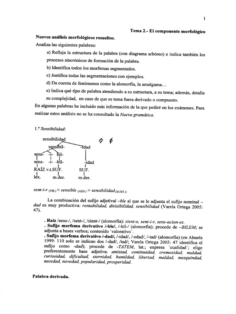 8.nuevos Analisis Morfologicos Resueltos | PDF