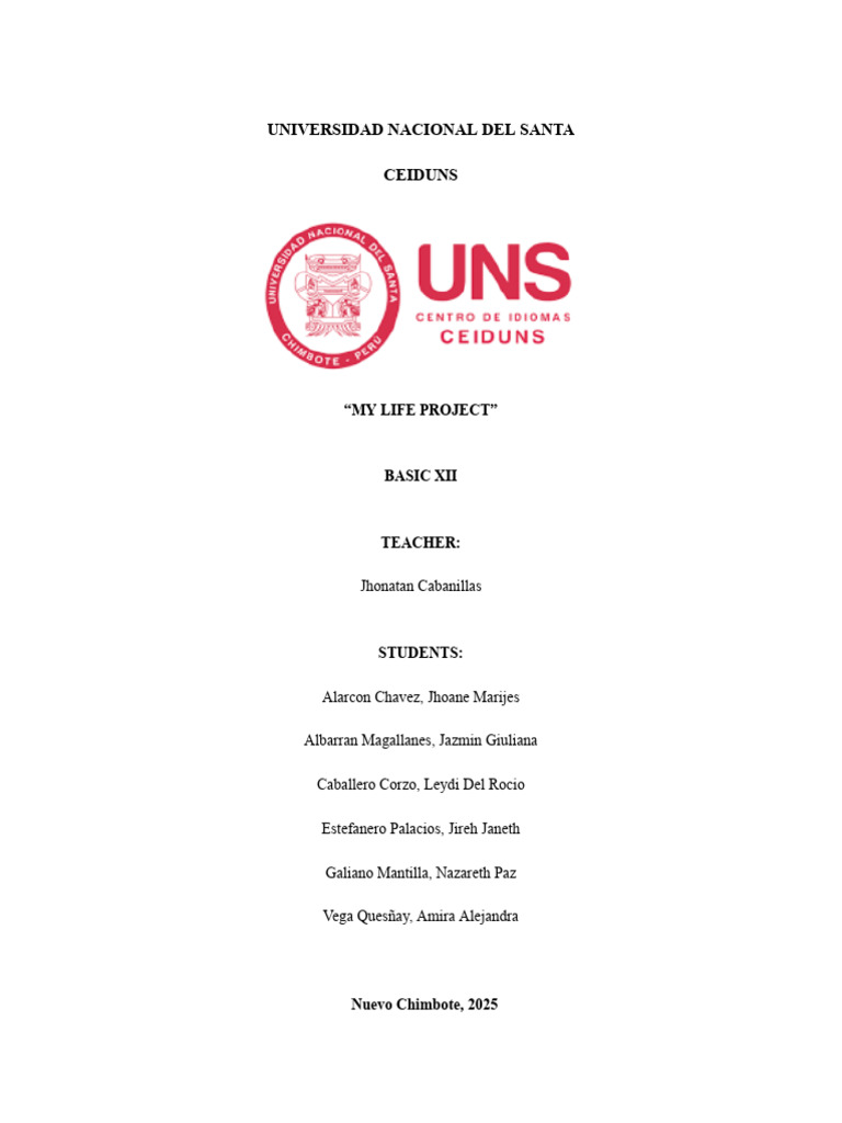 PROJECT WORK BASIC XI | PDF