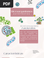QUIMIOAUTOTROFOS Completos | PDF | Tecnología Ambiental | Ciencia ...