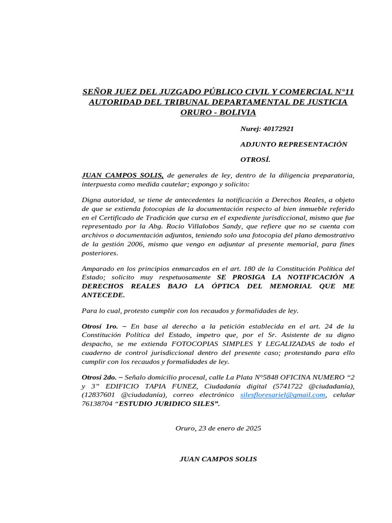 Juan Campos Adjunta Representación | PDF