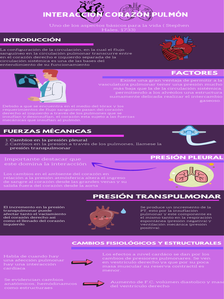Interacción Corazón-Pulmón y Presión Transpulmonar | PDF | Pulmón | Corazón
