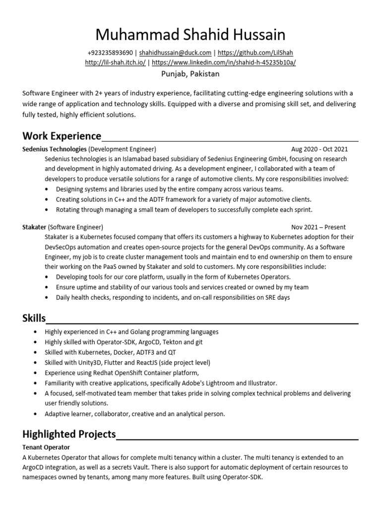 Software Engineer Profile: Skills & Projects | PDF | Computer Science | Computing