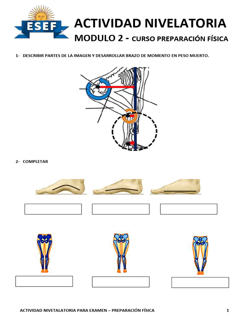 Actividad Nivelatoria: Preparación Física | PDF | Resistencia | Flexibilidad (anatomía)