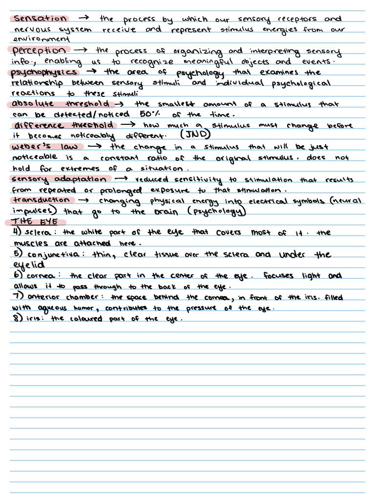 Sense:Perception | PDF