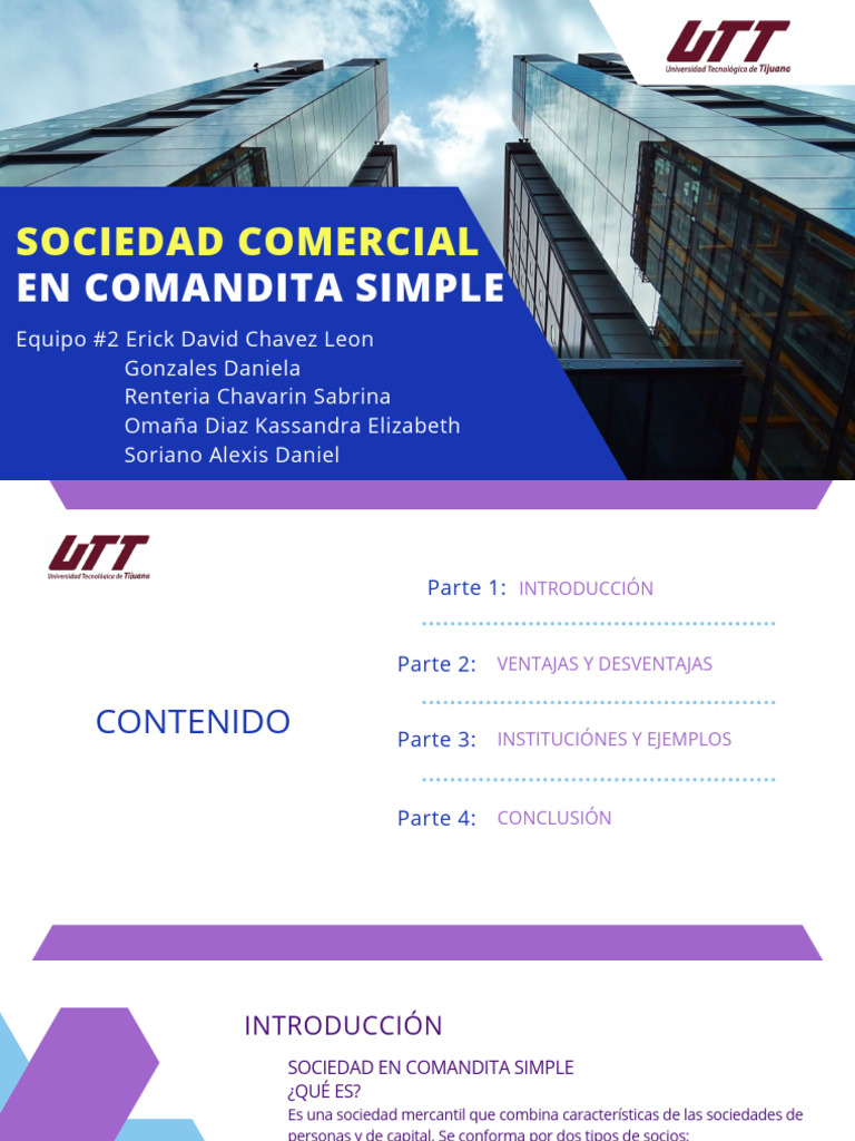 Comandita Simple | PDF | Sociedad de responsabilidad limitada | Business
